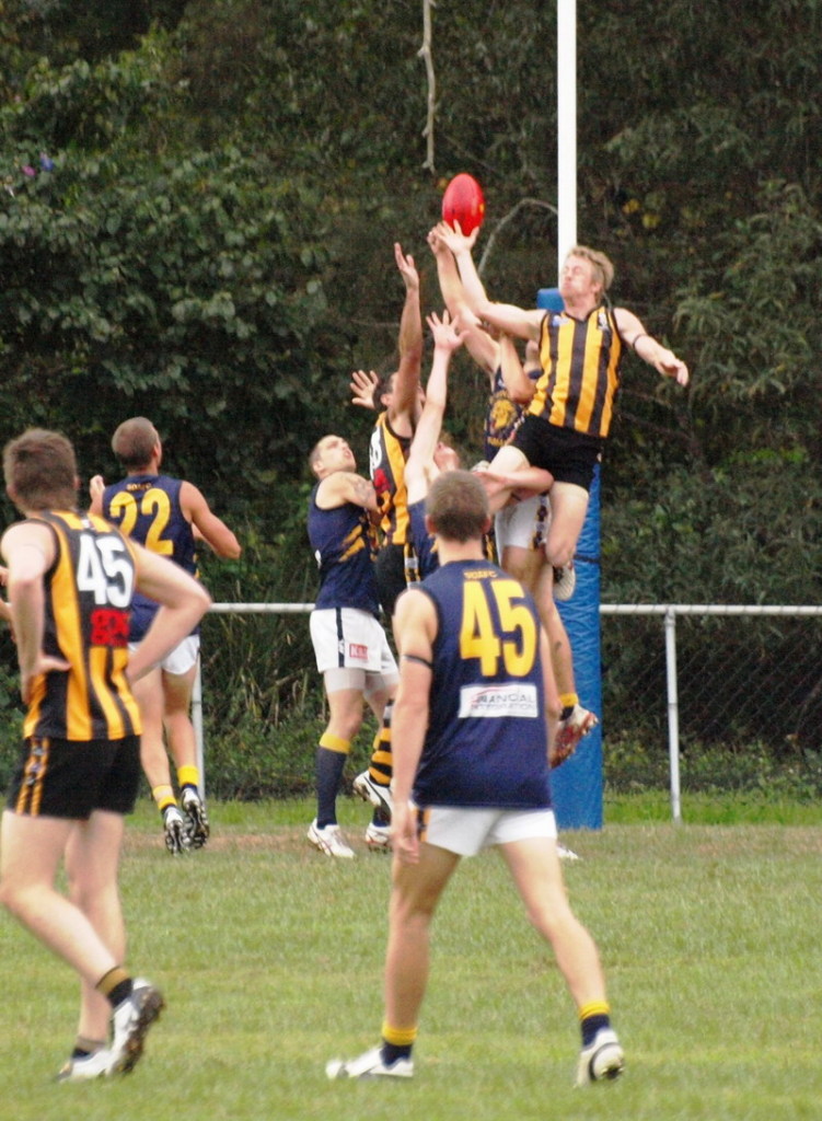 Mayne Tigers AFC | Eat em Alive | Page 9