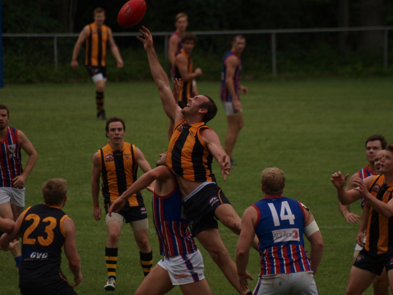 Mayne Tigers AFC | Eat em Alive | Page 9