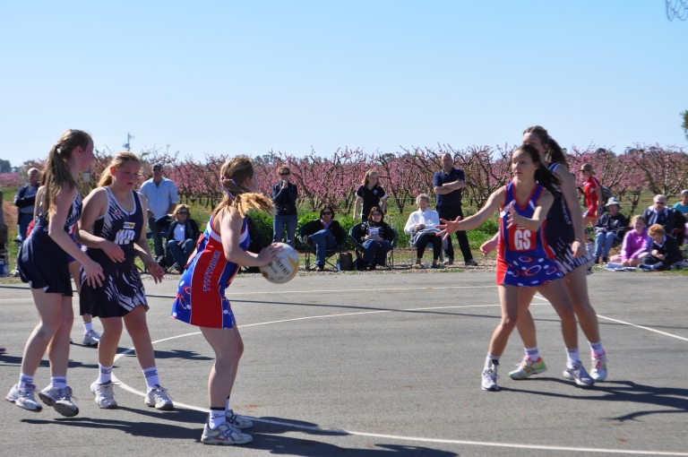 UNDER 15 NETBALL GIRLS - Tyntynder Football Club - GameDay